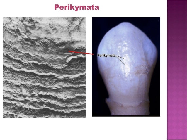 Enamel clinical aspect sagar hiwale
