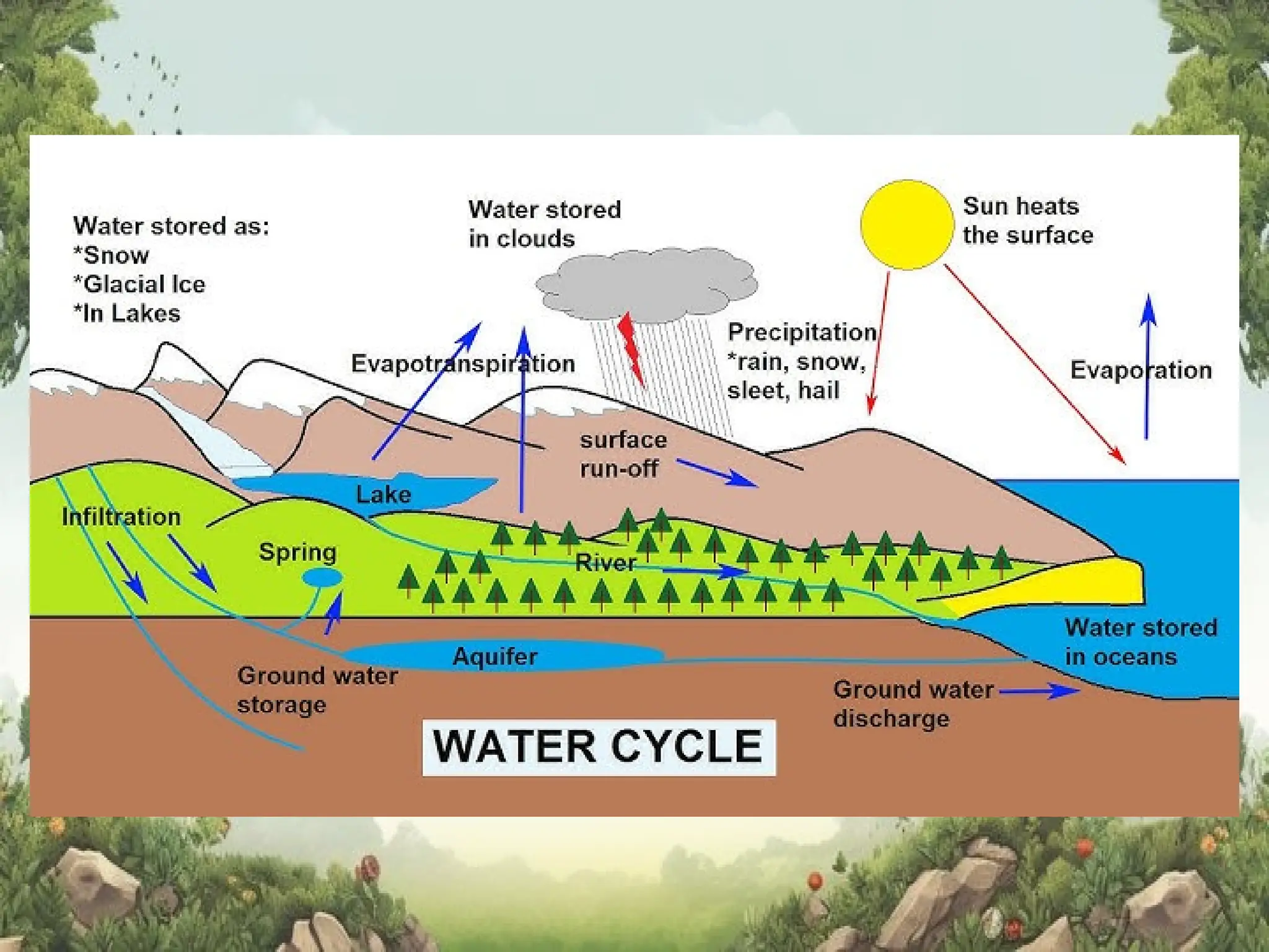 Exploring the Water Cycle: How Evaporation, Condensation, and ...