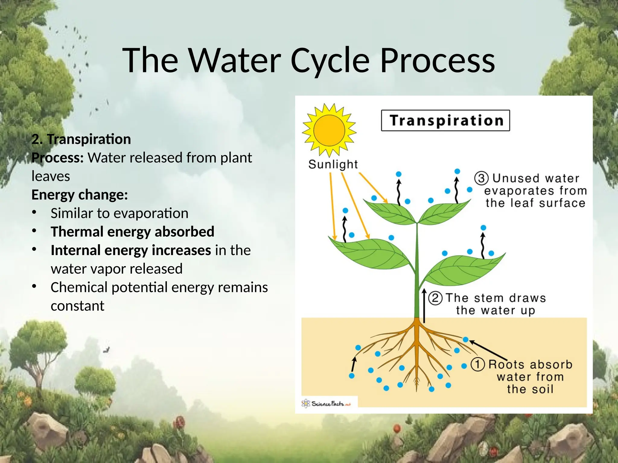 Exploring the Water Cycle: How Evaporation, Condensation, and ...
