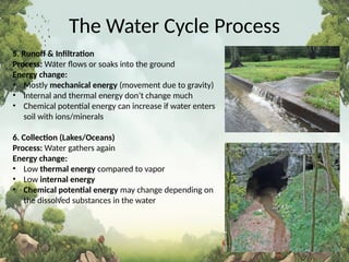 Exploring the Water Cycle: How Evaporation, Condensation, and ...