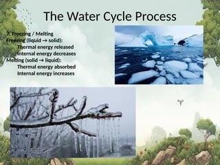 Exploring the Water Cycle: How Evaporation, Condensation, and ...