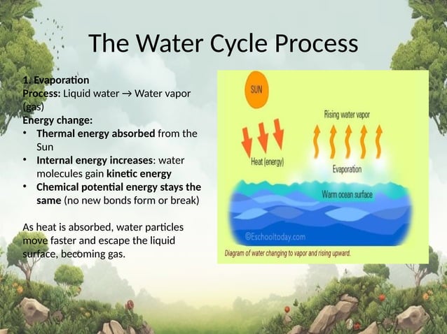 Exploring the Water Cycle: How Evaporation, Condensation, and ...
