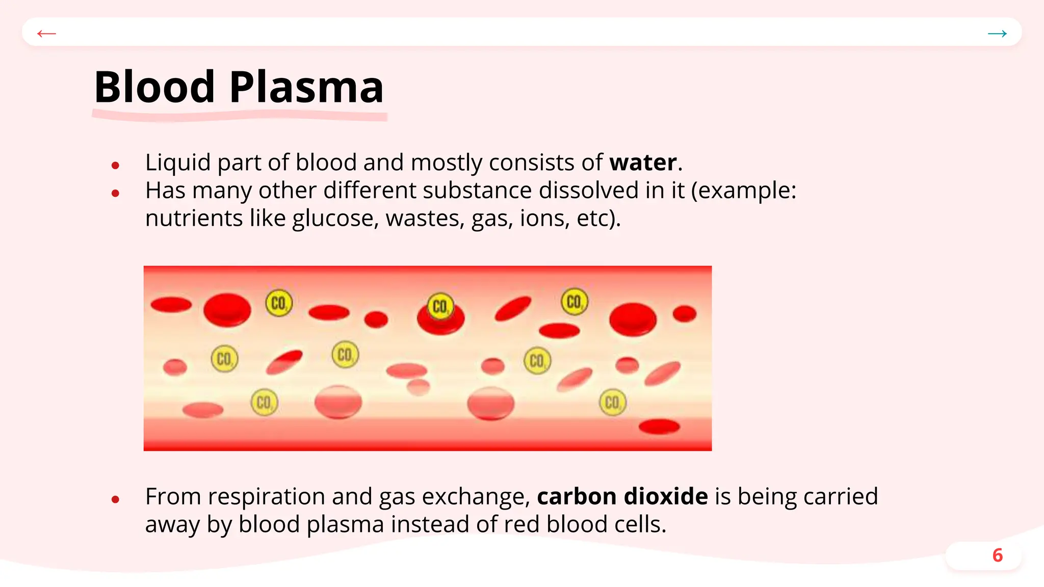 Y7_Stage 7_Blood Composition and Circulatory System.pptx