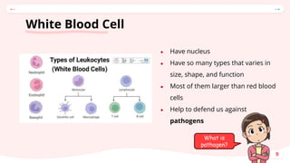 Y7_Stage 7_Blood Composition and Circulatory System.pptx