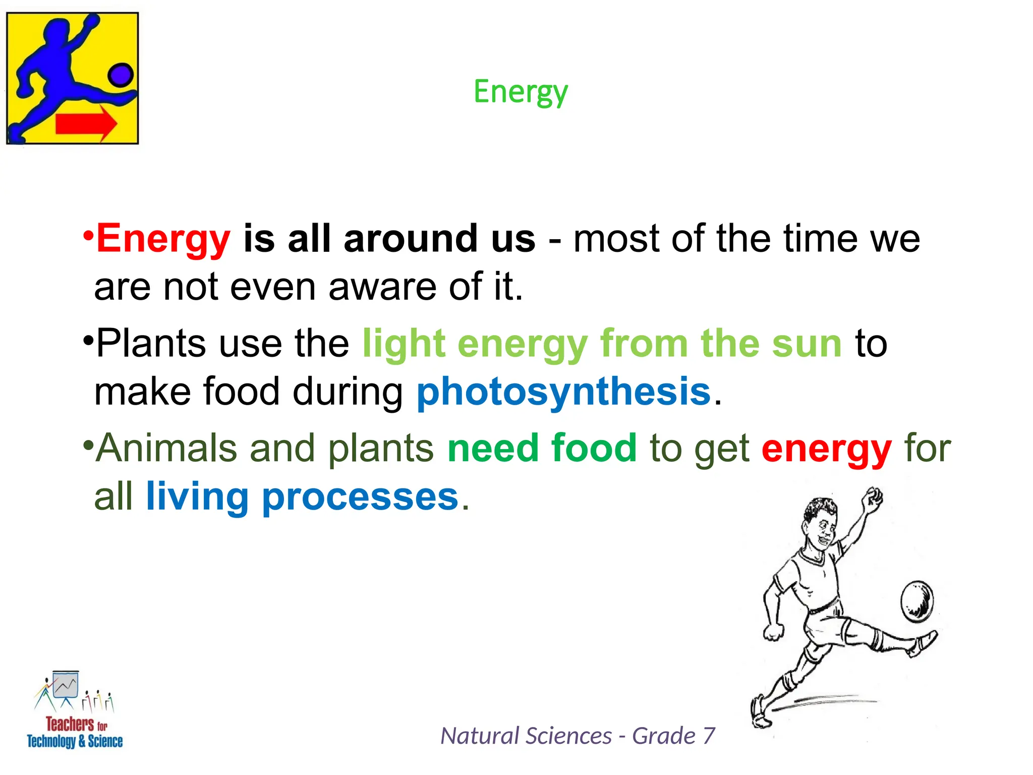 Forces and Energy for Year 7 Lower Secondary | PPTX