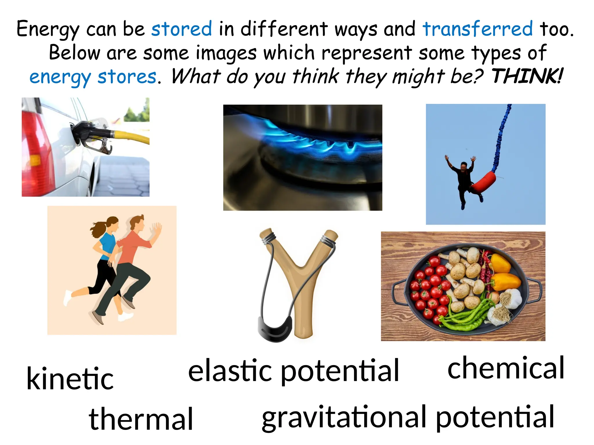 Forces and Energy for Year 7 Lower Secondary | PPTX