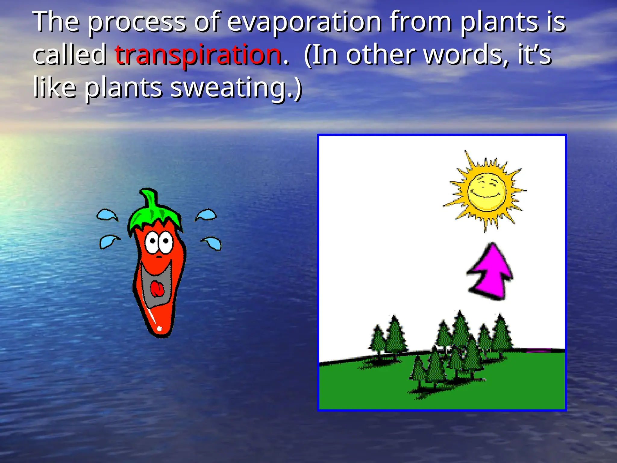 Year 7 Lower Secondary Water Cycle Powerpoint | PPT