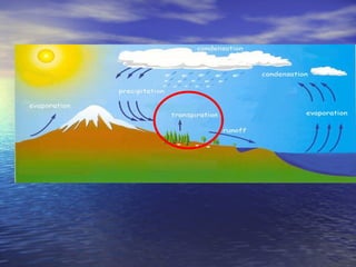 Year 7 Lower Secondary Water Cycle Powerpoint | PPT