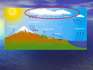 Year 7 Lower Secondary Water Cycle Powerpoint | PPT