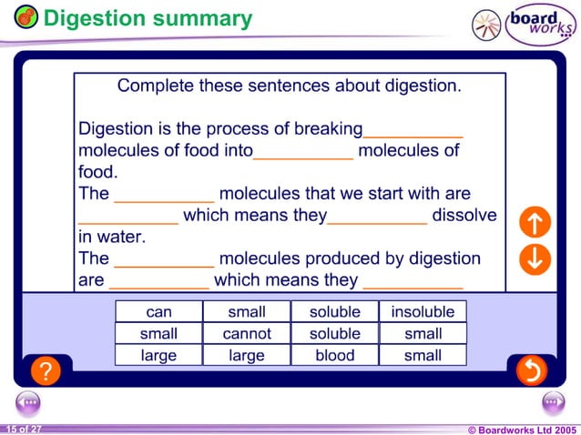 Y8-Food-and-Digestion.ppt
