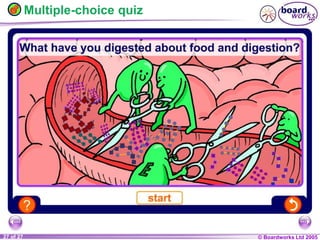 Y8-Food-and-Digestion.ppt