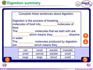 Y8-Food-and-Digestion.ppt
