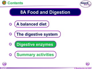 Y8-Food-and-Digestion.ppt