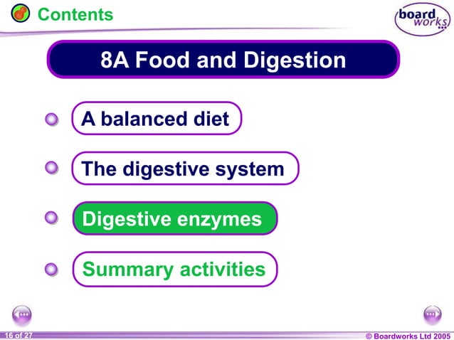 Y8-Food-and-Digestion.ppt | Digestive Disorders | Diseases and Conditions