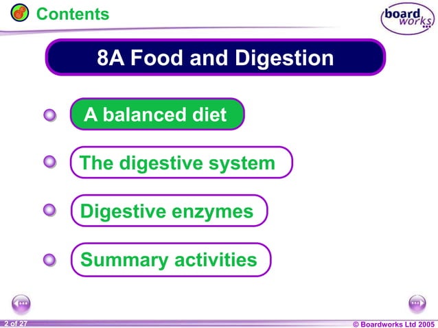 Y8-Food-and-Digestion.ppt | Digestive Disorders | Diseases and Conditions