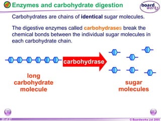 Y8-Food-and-Digestion.ppt