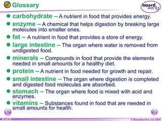 Y8-Food-and-Digestion.ppt