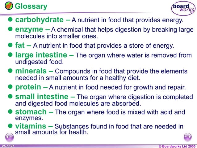 Y8-Food-and-Digestion.ppt | Digestive Disorders | Diseases and Conditions