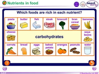 Y8-Food-and-Digestion.ppt