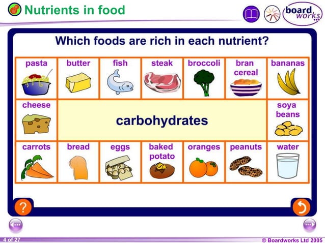 Y8-Food-and-Digestion.ppt | Digestive Disorders | Diseases and Conditions