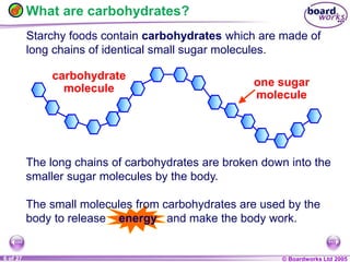 Y8-Food-and-Digestion.ppt