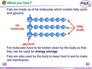 Y8-Food-and-Digestion.ppt