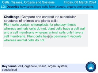Y8_-_Term_6_Wk_2_Tuesday_-_Lesson_4_-_Science_-_Cells,_Tissues,_Organs_and_Systems.ppsx
