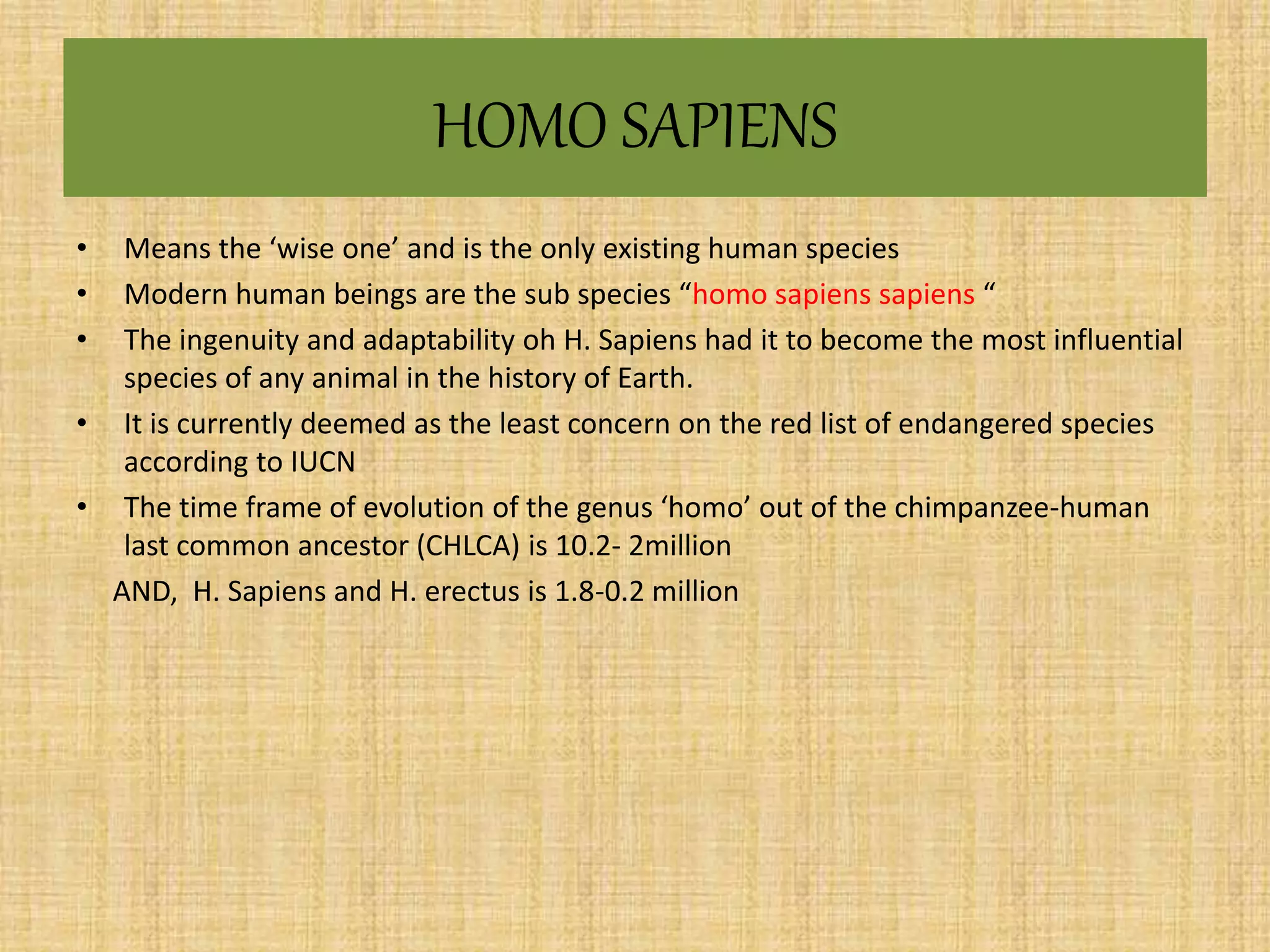 Human evolution | PPTX