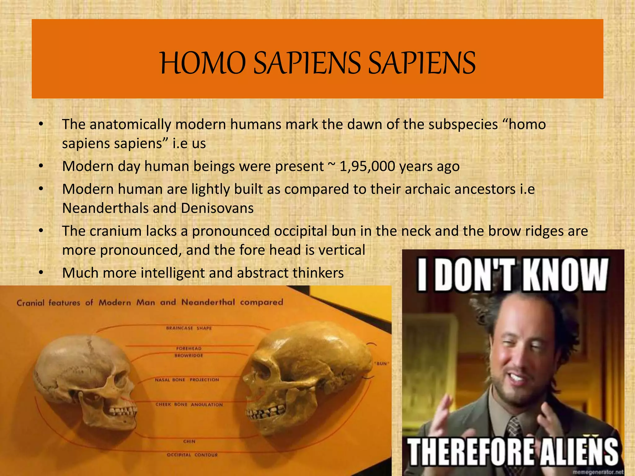 Human evolution | PPTX
