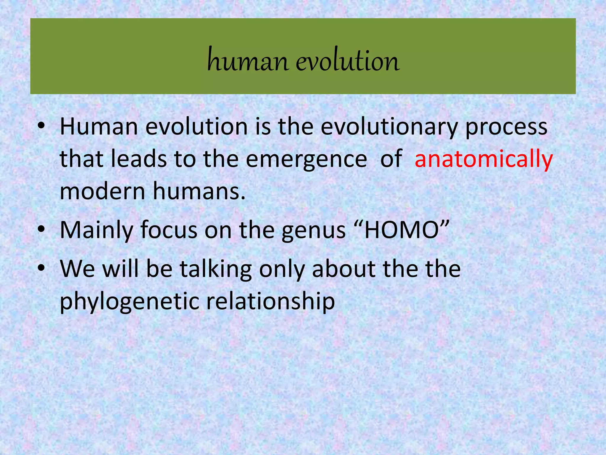 Human evolution | PPTX