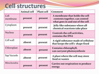Y9 Ch02 cells 2022.pptx