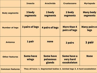 Y9 ch1 classification of living things 2020 | PDF