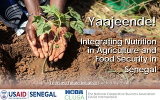 Integrating Nutrition in Agriculture in Senegal | PDF