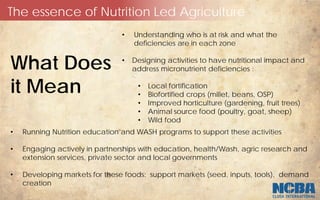 Integrating Nutrition in Agriculture in Senegal | PDF