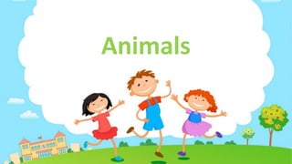 P.P Animals for Demo Class | PPT