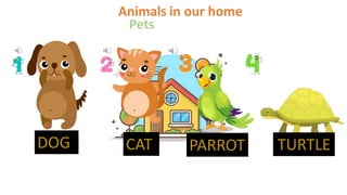P.P Animals for Demo Class | PPT