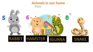 P.P Animals for Demo Class | PPT