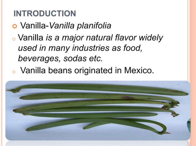 Processing of Vanilla. | PPTX