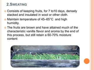 Processing of Vanilla. | PPTX