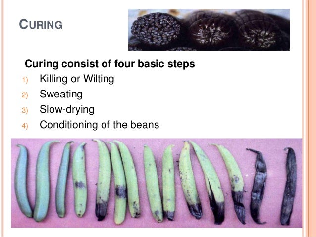 Processing of Vanilla.