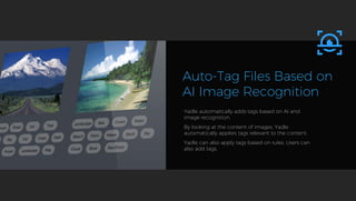Yadle for Adobe cc | PPT