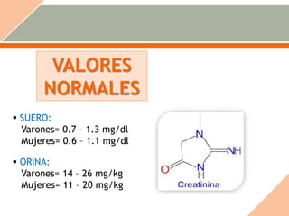 Valores normales del ácido úrico | acido urico en sangre – BHBY