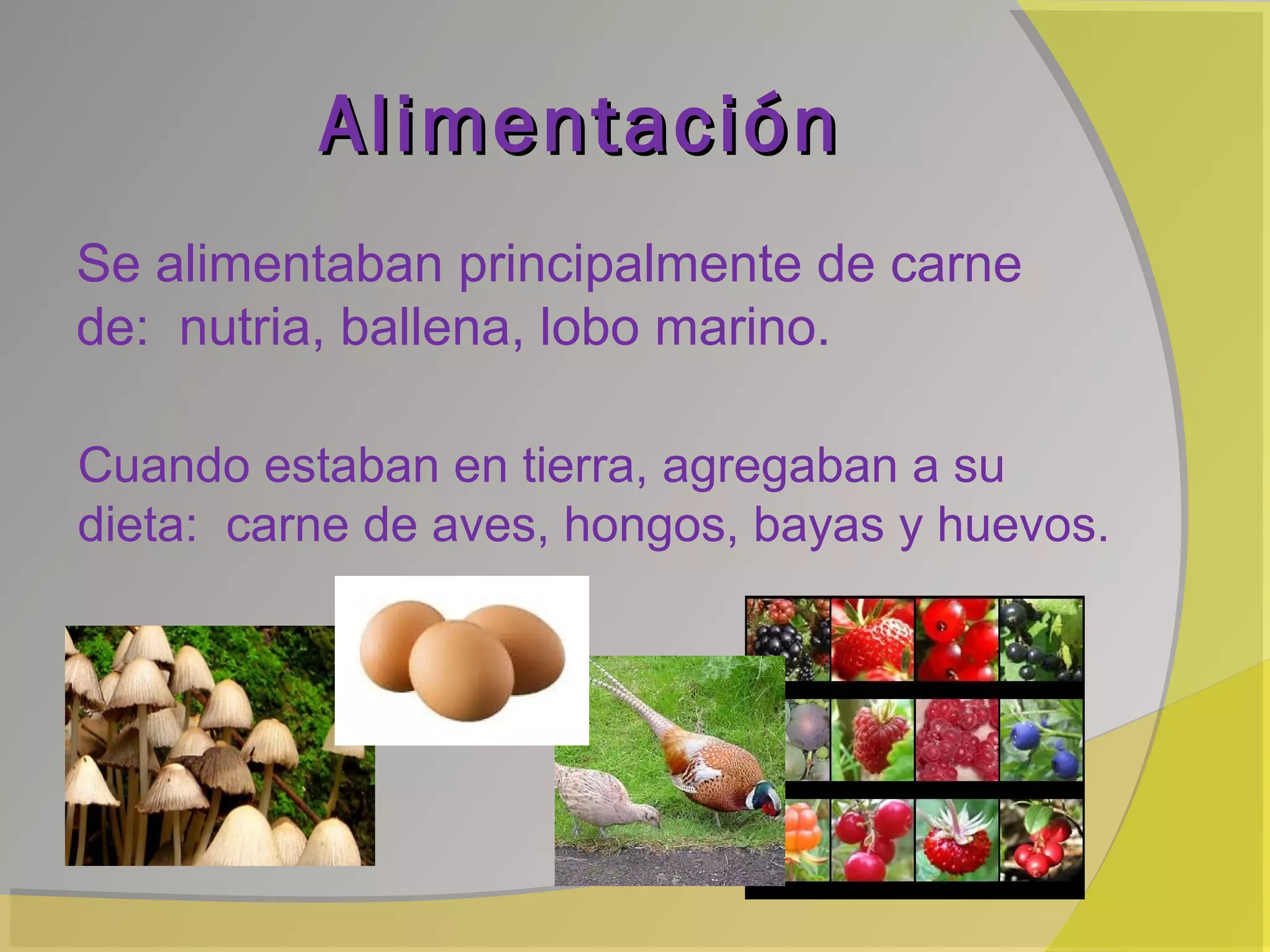 Yaganes | PPT