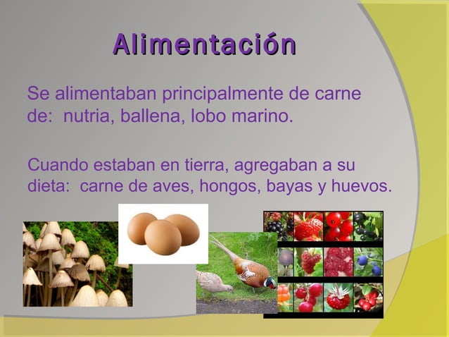 Yaganes | PPT