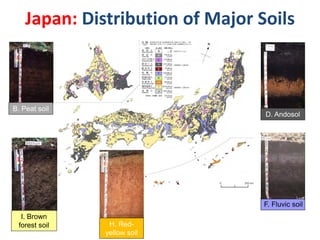 Status and Priorities of Soil Management in Japan - Kazuyuki Yagi | PDF