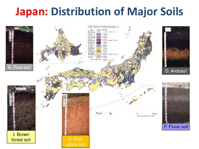 Status and Priorities of Soil Management in Japan - Kazuyuki Yagi