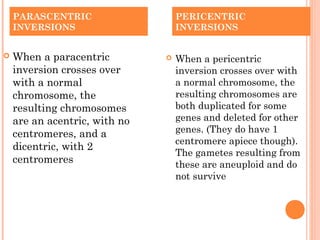 chromosomes variation | PPT