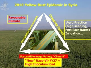 Pathotypic Evolution of Yellow (Stripe) rust in CWANA (1998-2008) | PDF ...