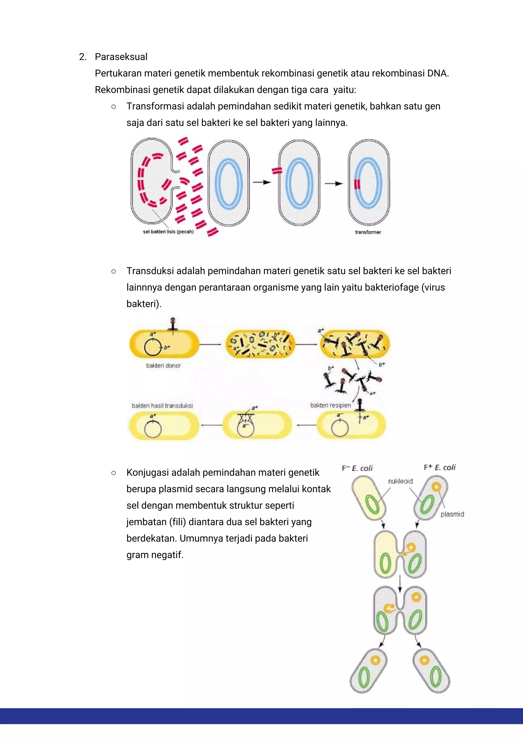 Mengenal Archaebacteria dan Eubacteria | PDF