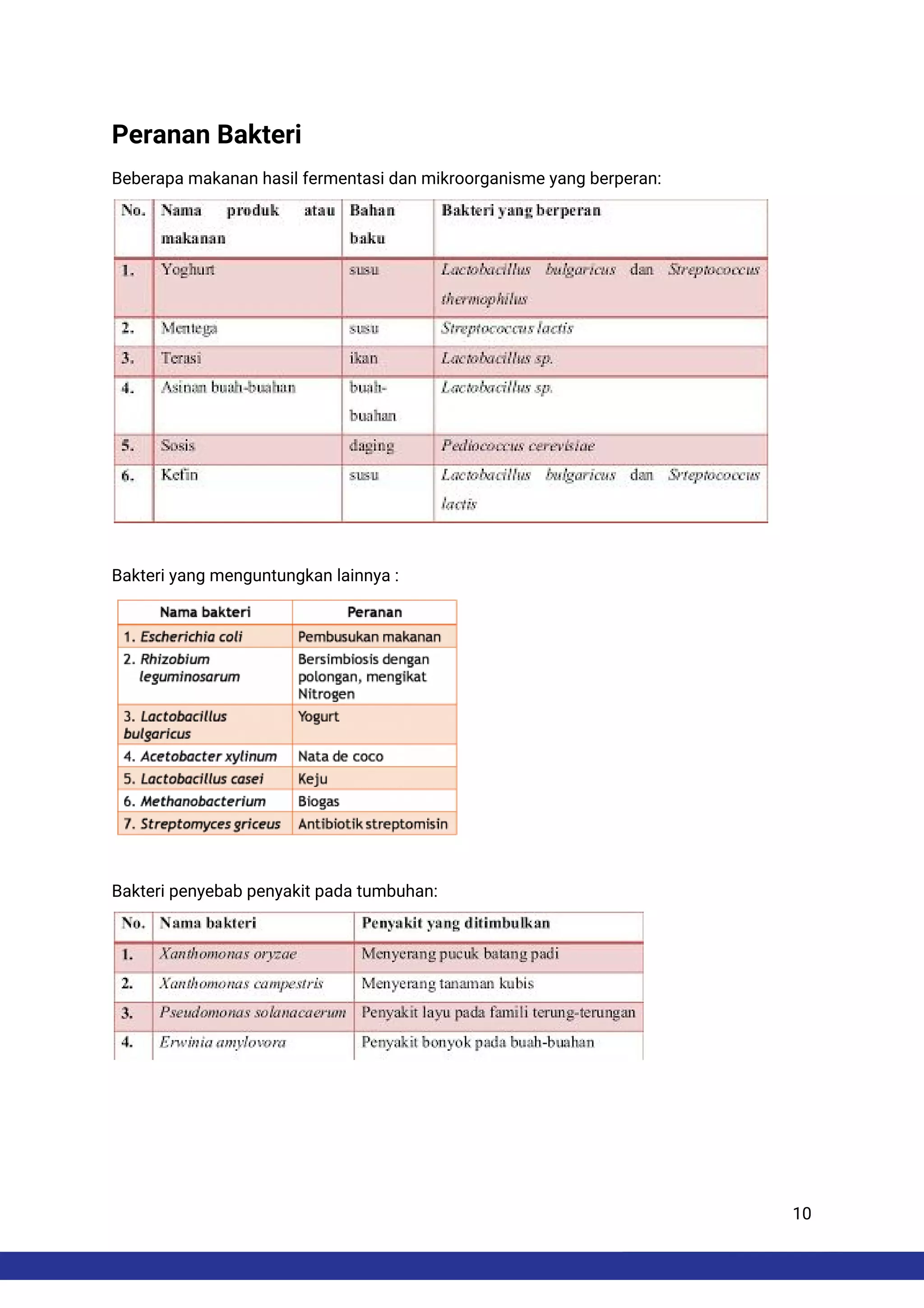 Mengenal Archaebacteria dan Eubacteria | PDF